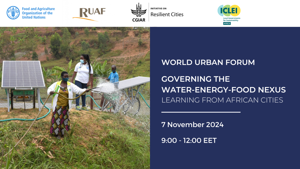 Governing the Water-Energy-Food Nexus – Learning from African Cities | Food for the cities ...